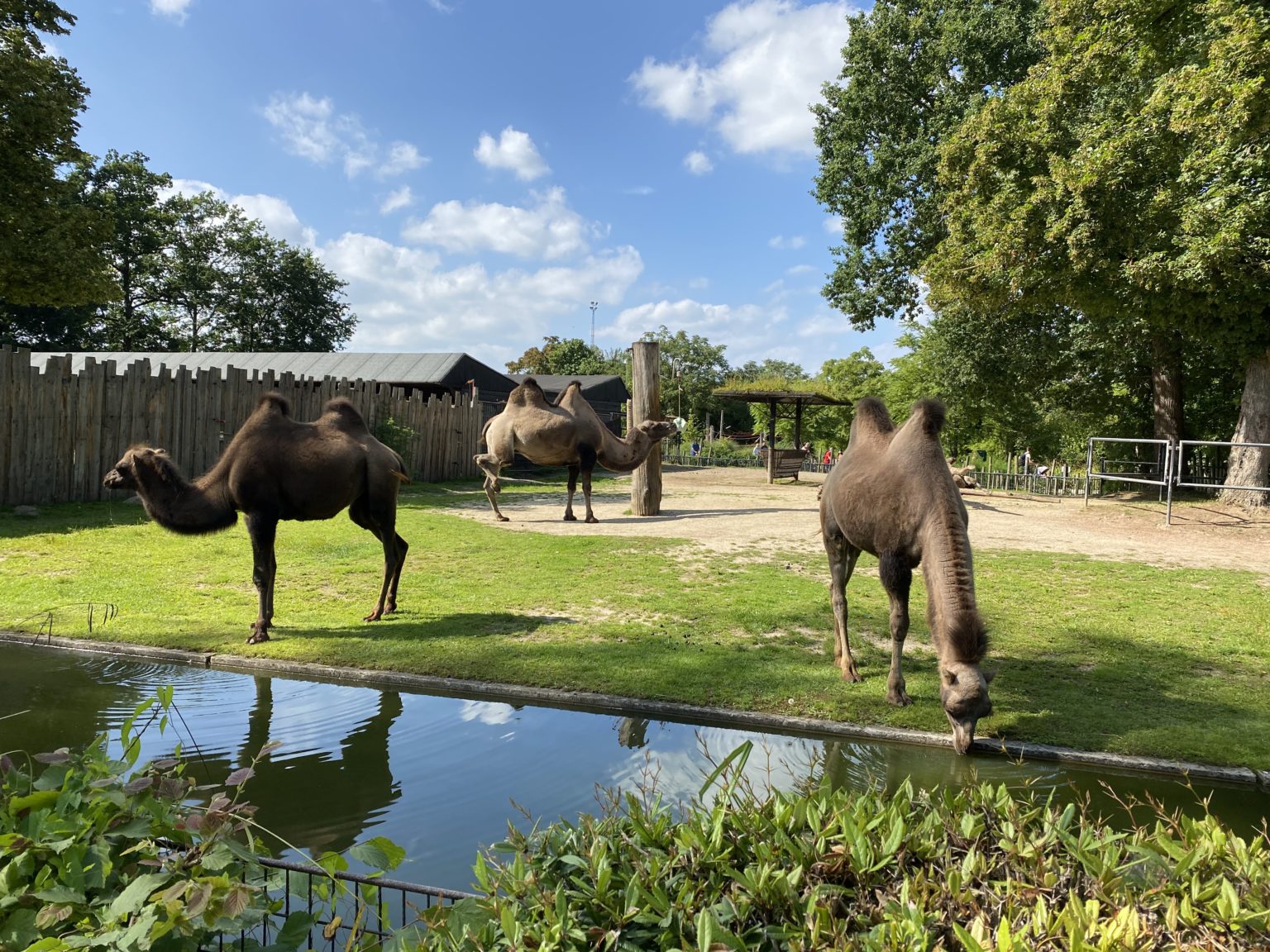 Voici les meilleurs ZOO & Parcs animalier en Belgique - Photos & Avis
