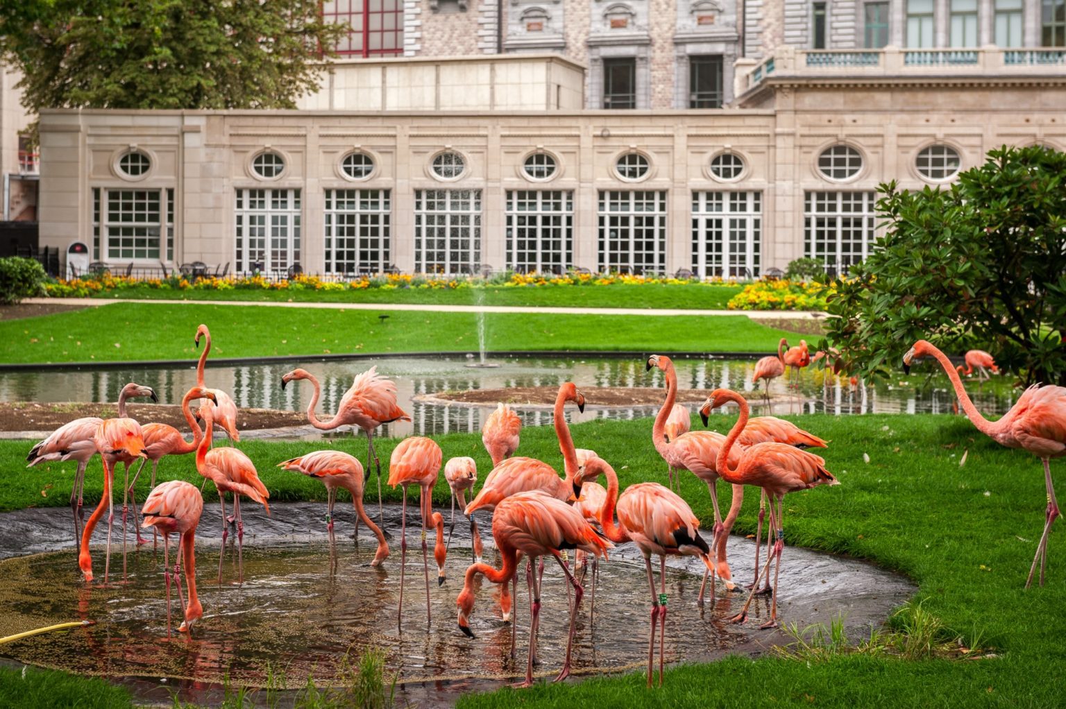 Here are the best ZOOs & Animal Parks in Belgium - Pictures & Reviews