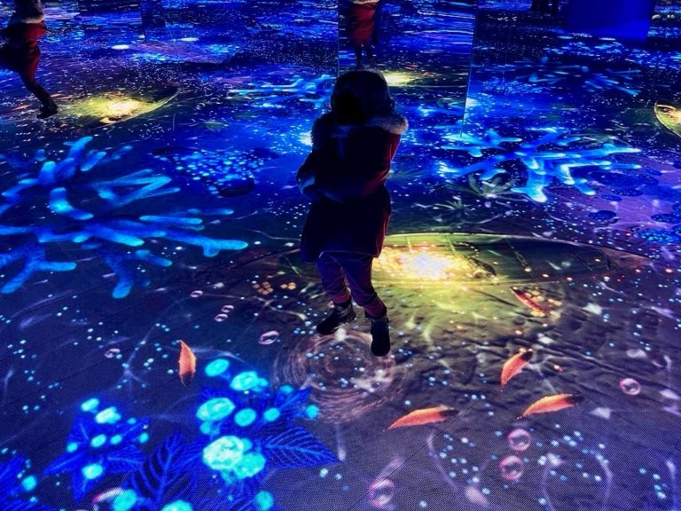 What to do in Brussels in November 🍂? - InsideBrussels.be